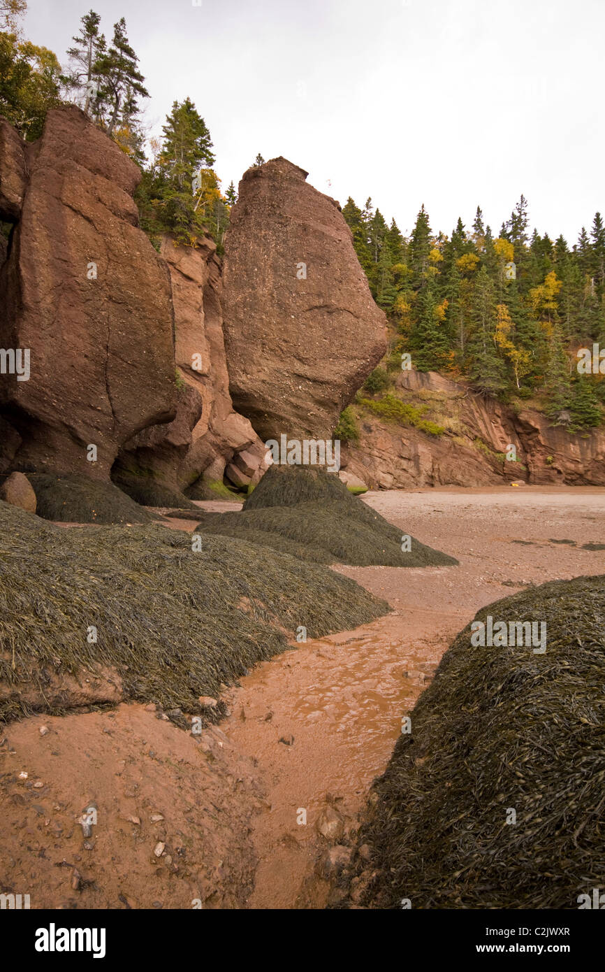 Rock Formations Canada High Resolution Stock Photography and Images - Alamy
