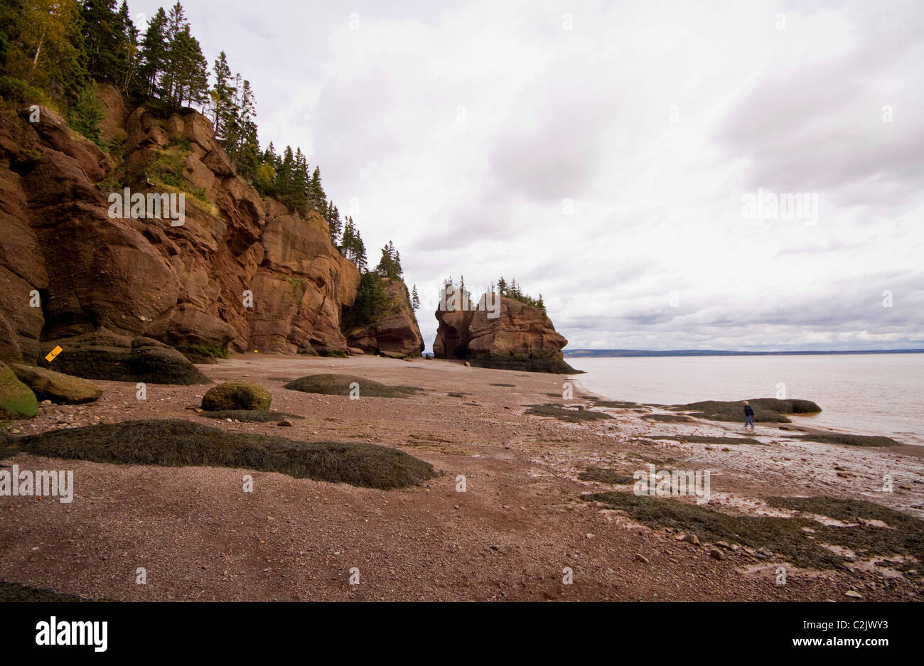 Low tide at Hopewell Rocks, Bay of Fundy, New Brunswick, Canada Stock ...