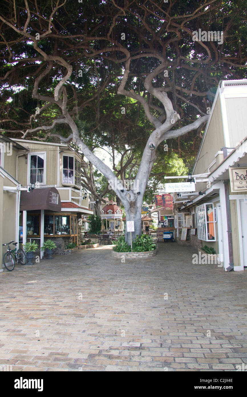 Lahaina center maui hawaii hi-res stock photography and images - Alamy