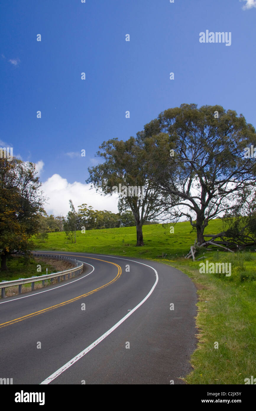 Right hand turn in the road along the Haleakala Highway, Maui Stock ...
