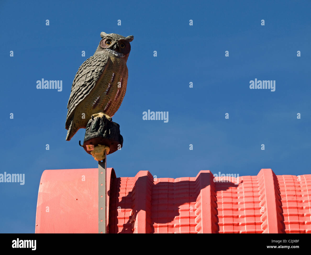 Bird scare hi-res stock photography and images - Alamy