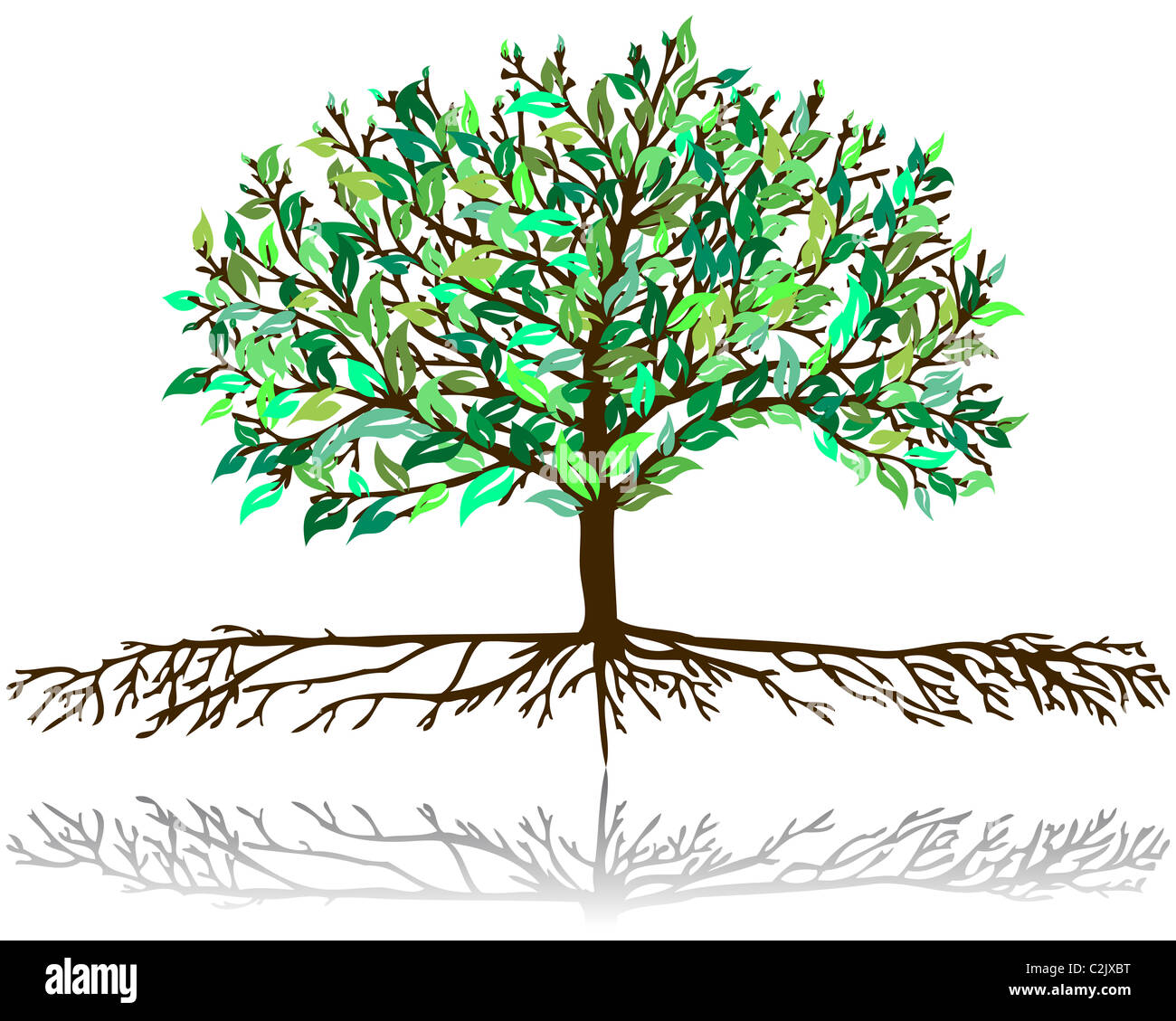 Beautiful summer tree with blossom flowers. Vector illustration Stock ...