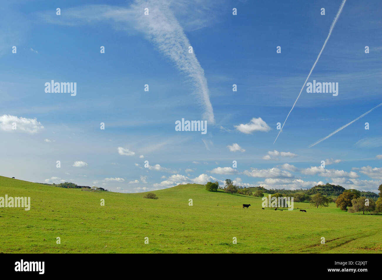 the countryside of northern California in springtime Stock Photo - Alamy
