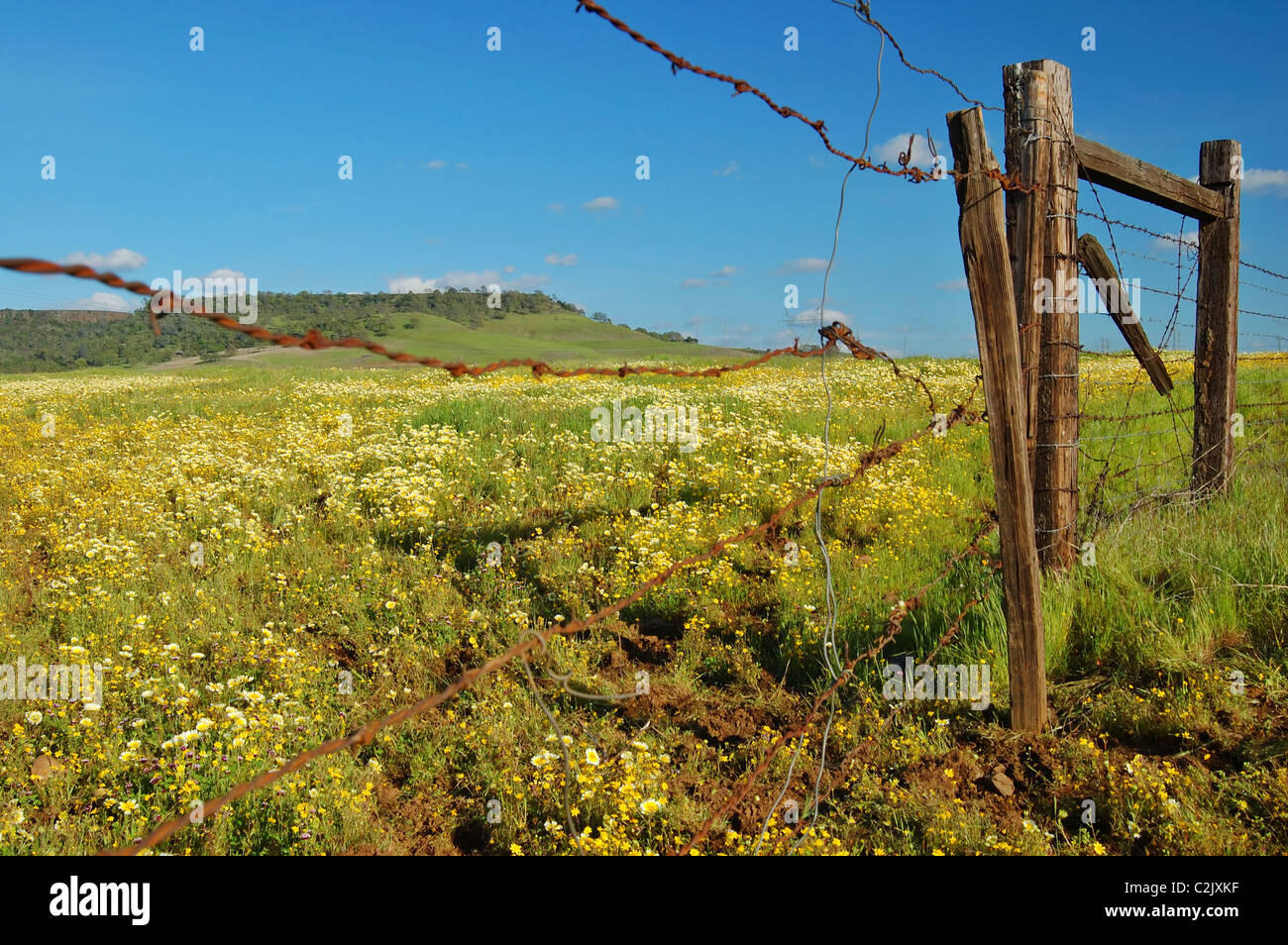 the countryside of northern California in springtime Stock Photo - Alamy