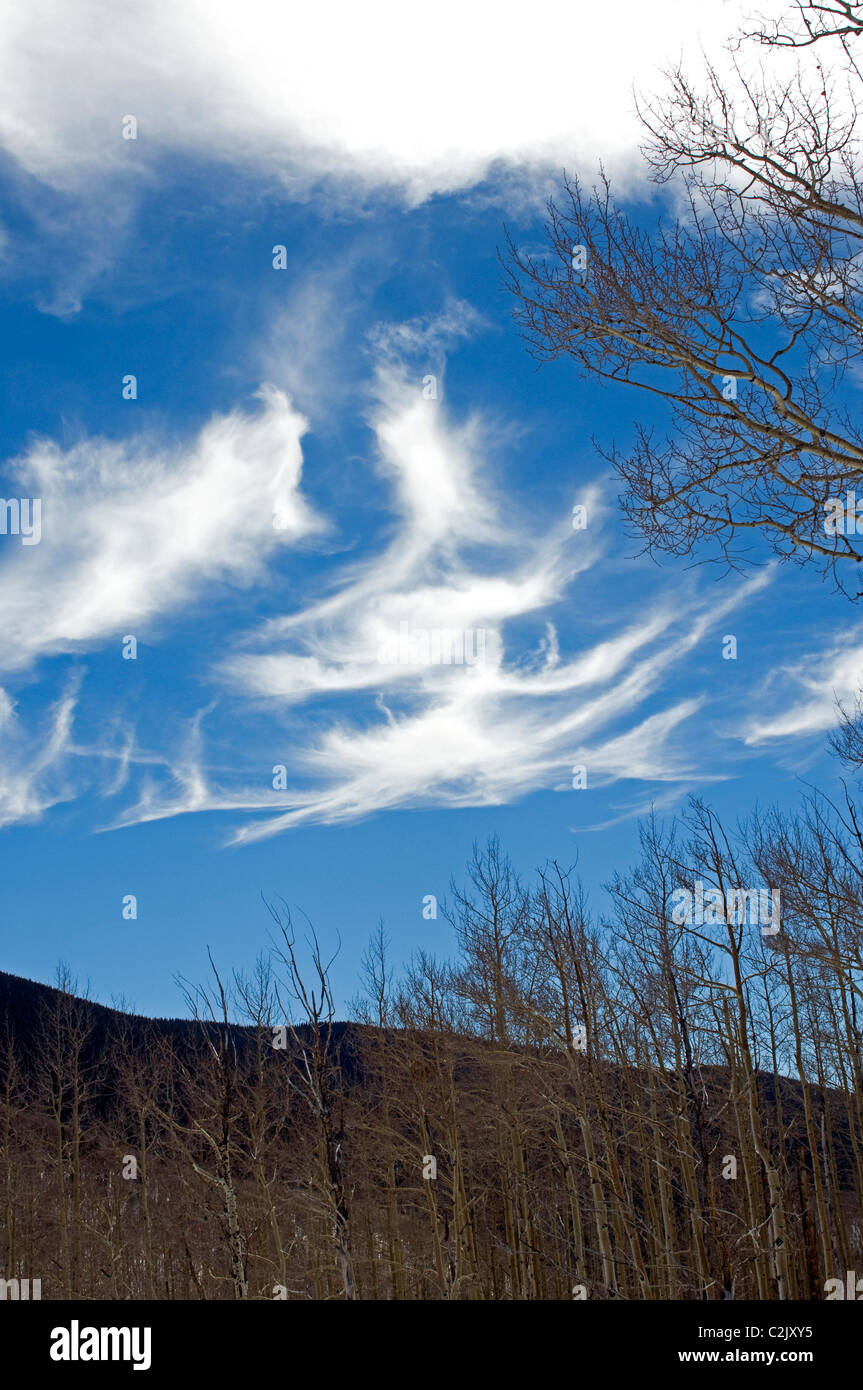 Unique clouds in blue New Mexico sky Stock Photo - Alamy