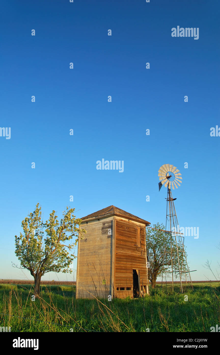 afternoon field in a farming area Stock Photo - Alamy