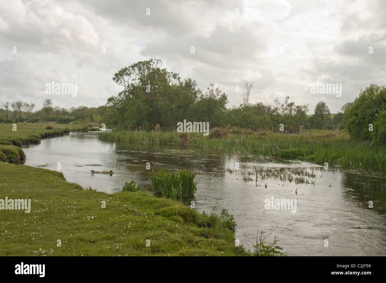Chalk stream trout uk hi-res stock photography and images - Alamy