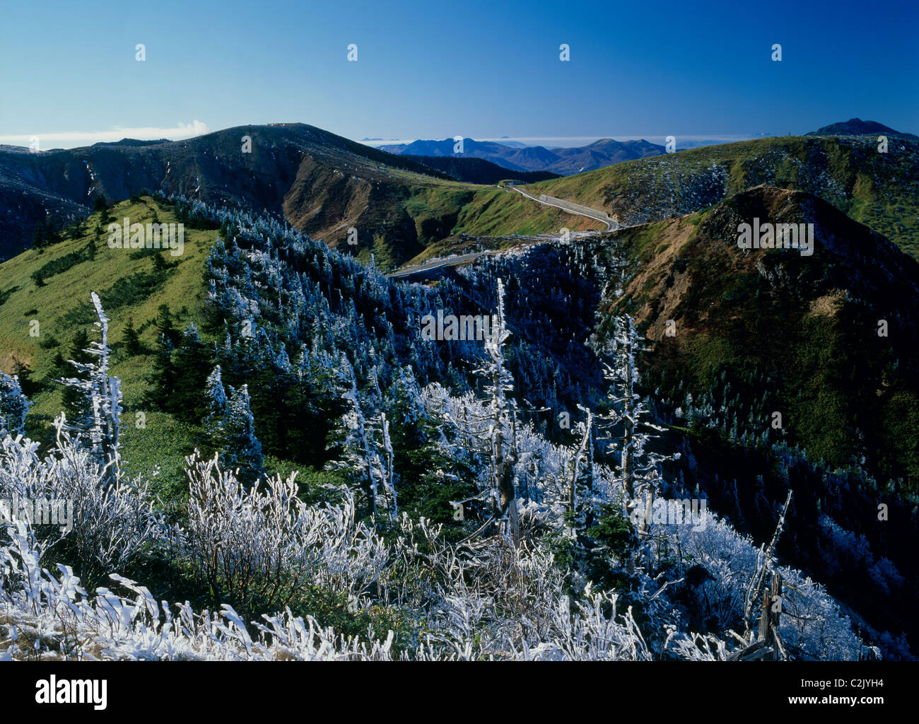 Soft Rime and Mountains, Yamanouchi, Shimotakai, Nagano, Japan Stock ...