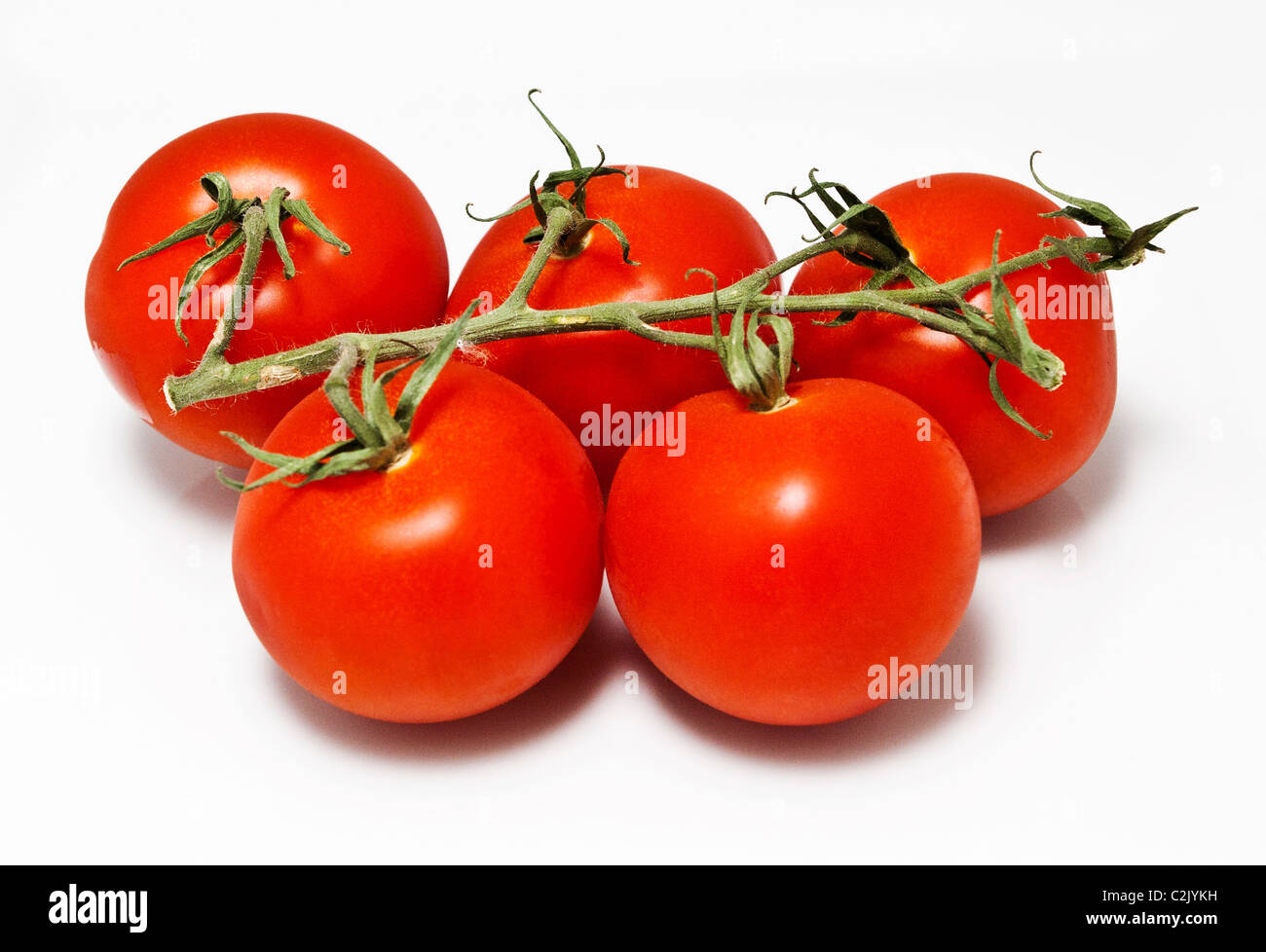 Five tomatoes with vine and stems attached Stock Photo - Alamy