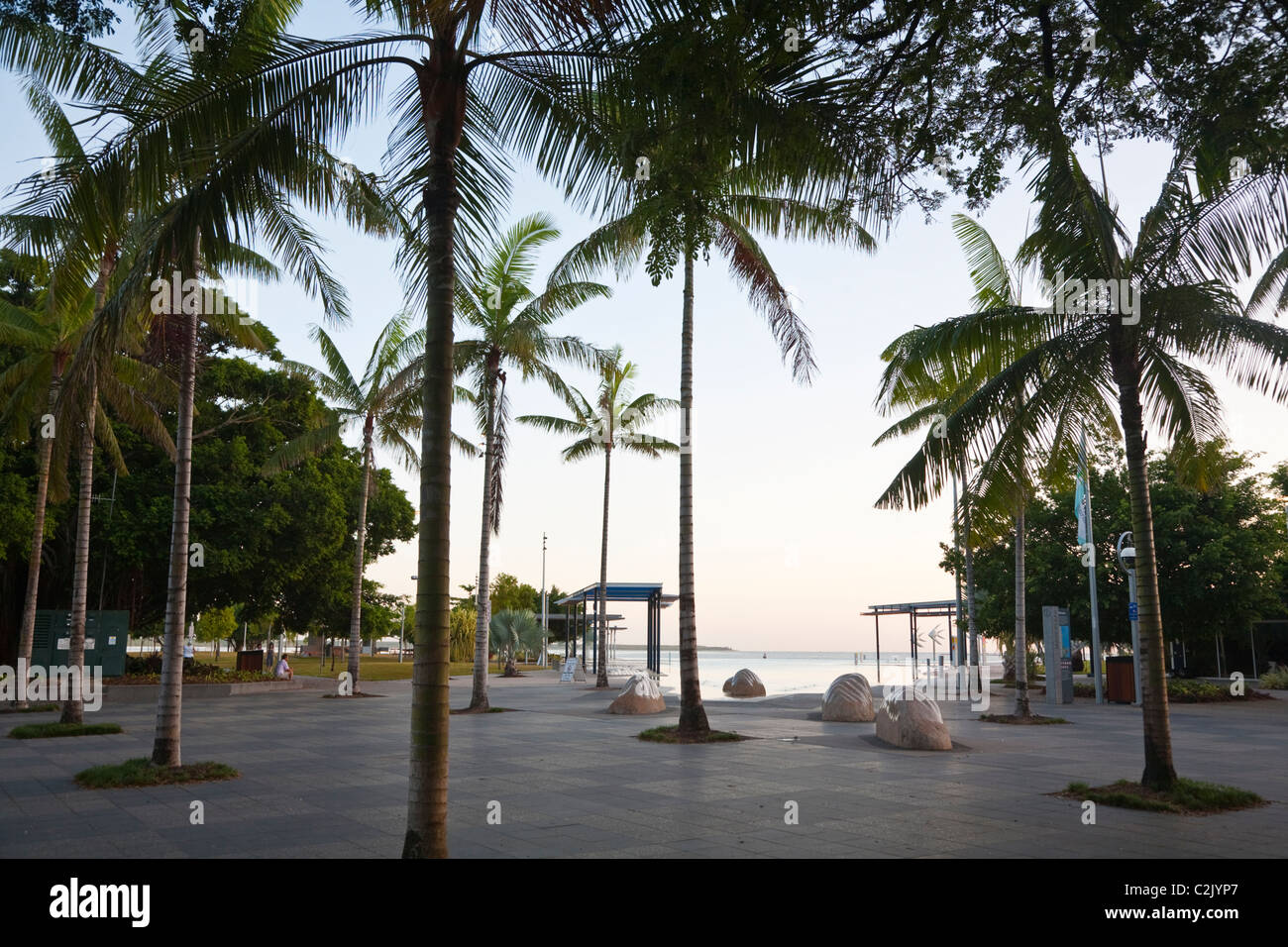 Australia cairns esplanade palm trees hi-res stock photography and ...