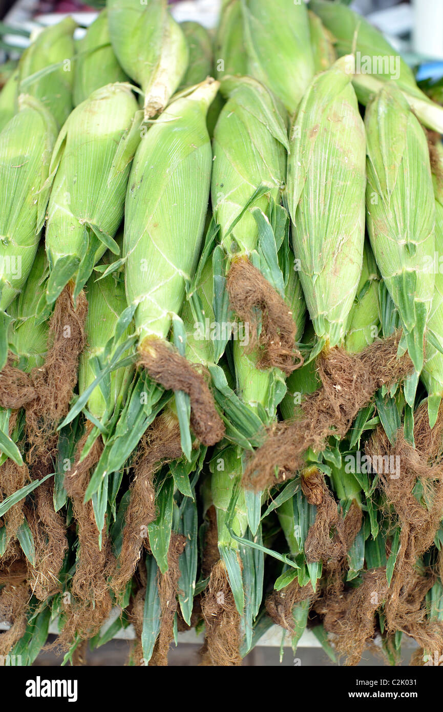 Ripe Sweetcorn Farmers Market Stall Busay Cebu Province Philippines ...