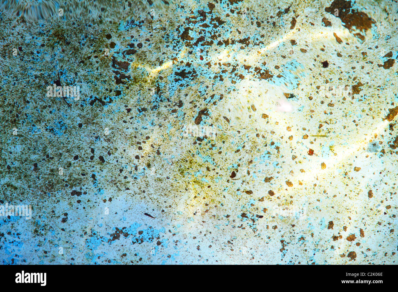 Beautiful light caustics effects in the water Stock Photo - Alamy