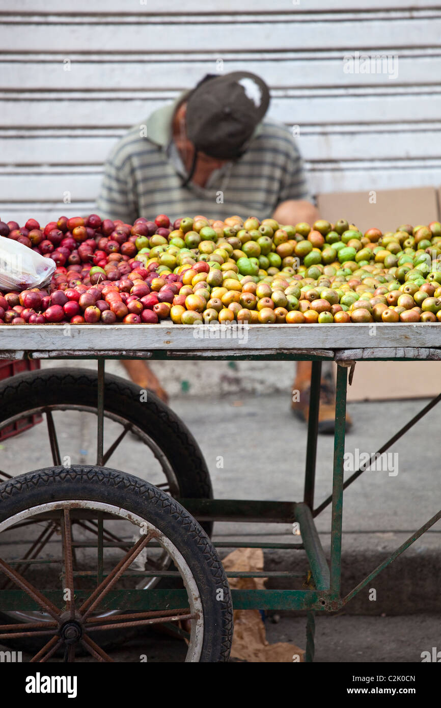 Sleeping vendor, Corozo (palm tree fruit), Getsamani, old town ...