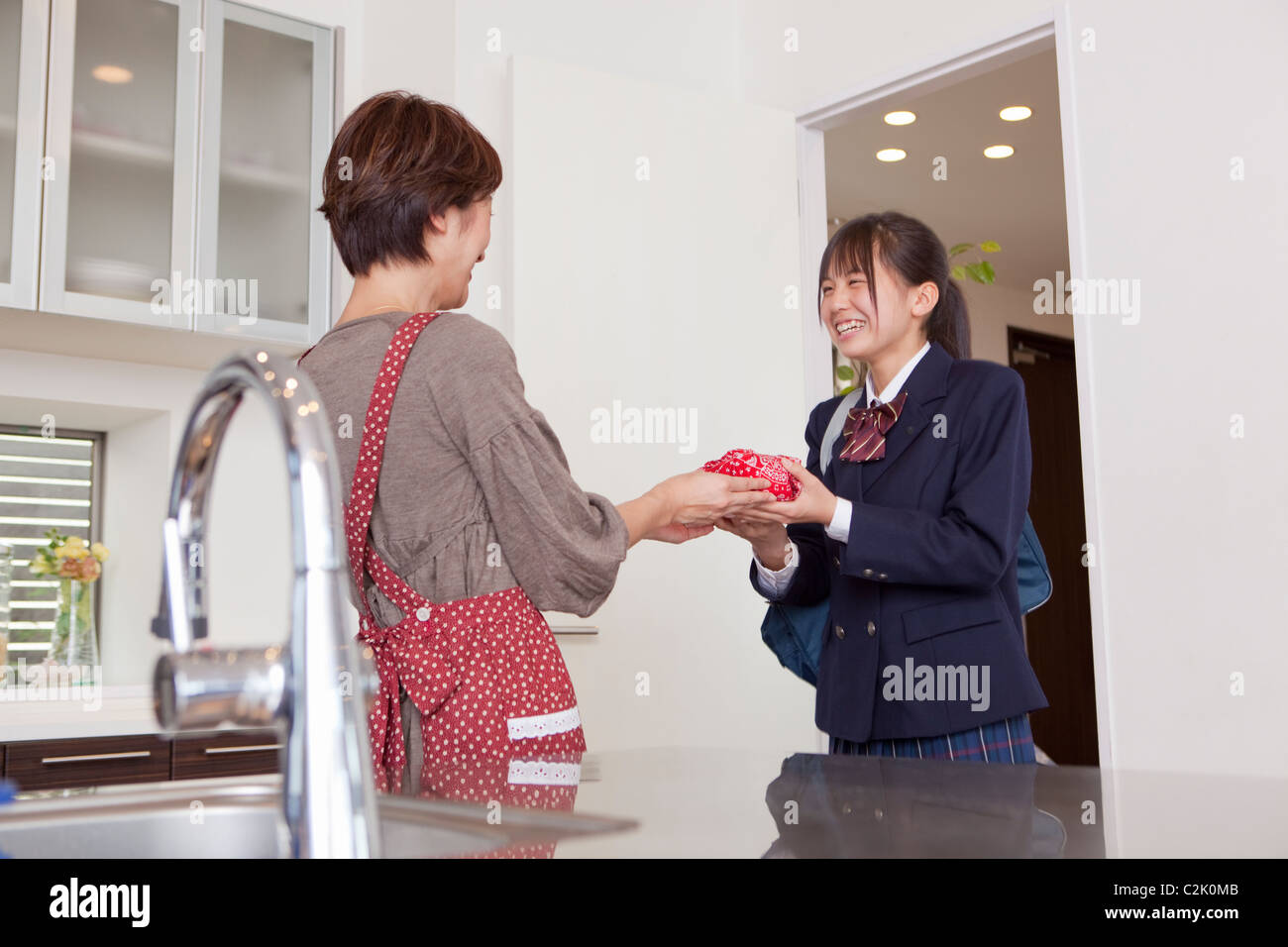 Mother Handing Lunch Box to Daughter Stock Photo - Alamy