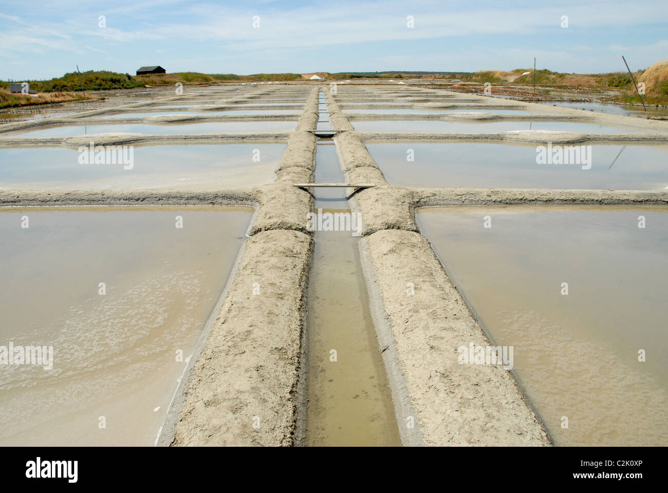 Traditional salt harvesting in the salt marshes (marais salants ...