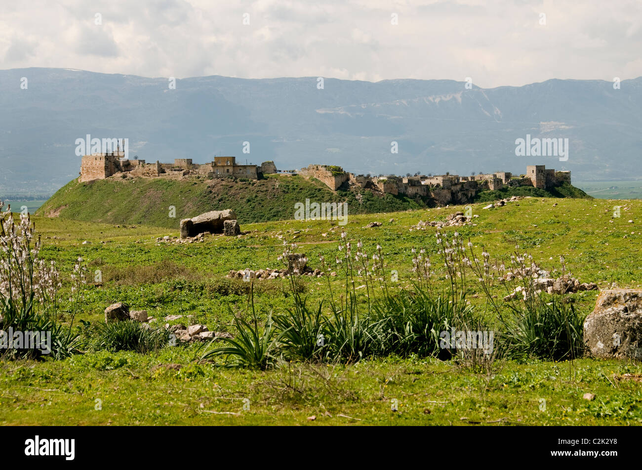 Al ghab plain hi-res stock photography and images - Alamy