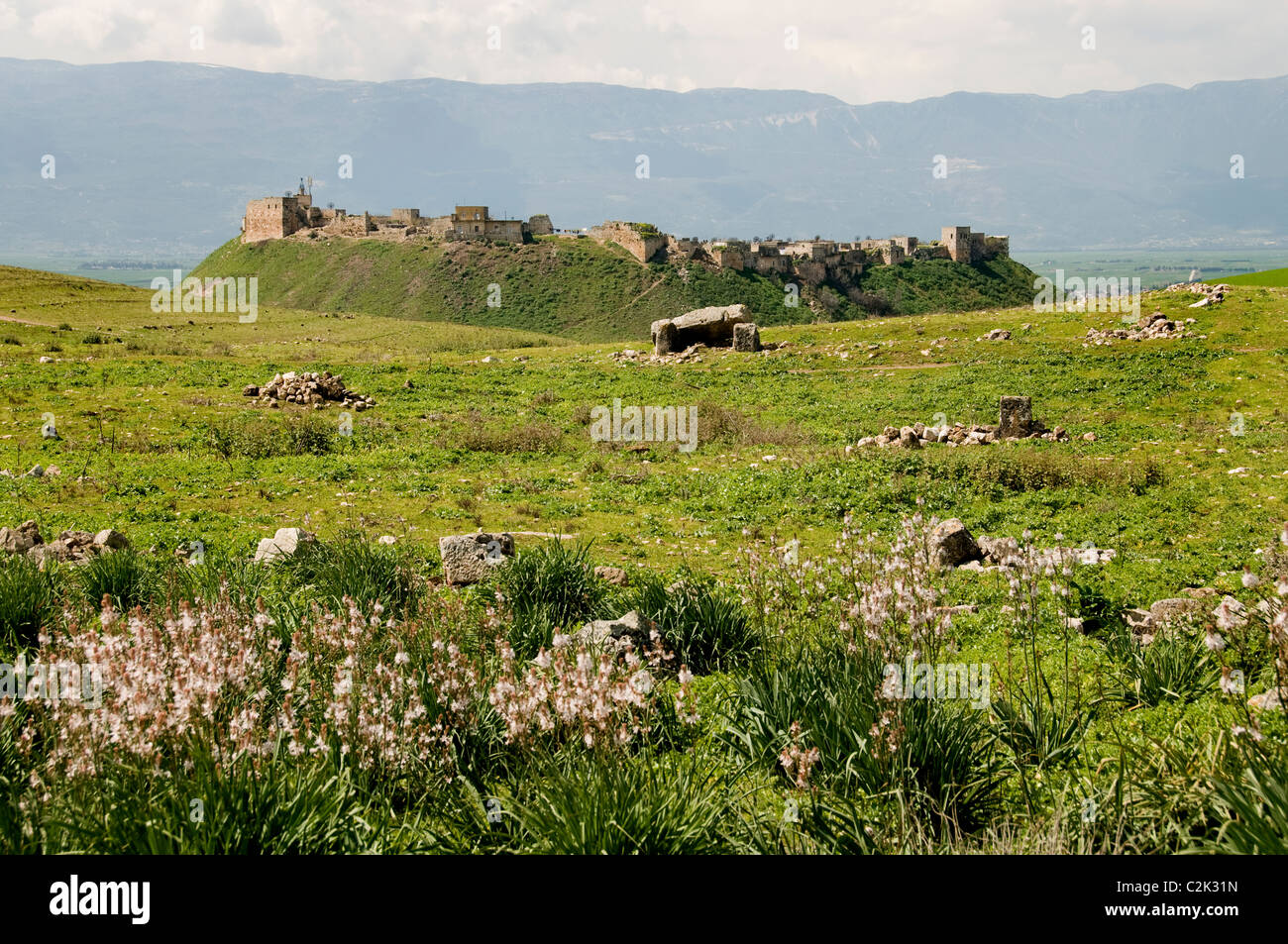 Apamea Ruins, Qalaat al-Madiq, Afamiyya, Famiyyah, town medieval ...