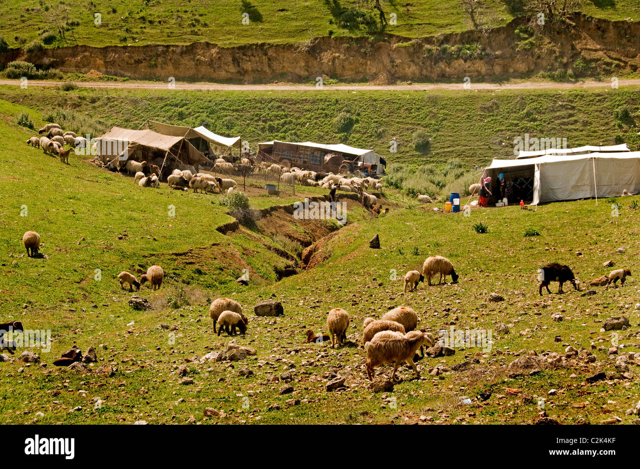 Syria desert farm farmer hi-res stock photography and images - Alamy