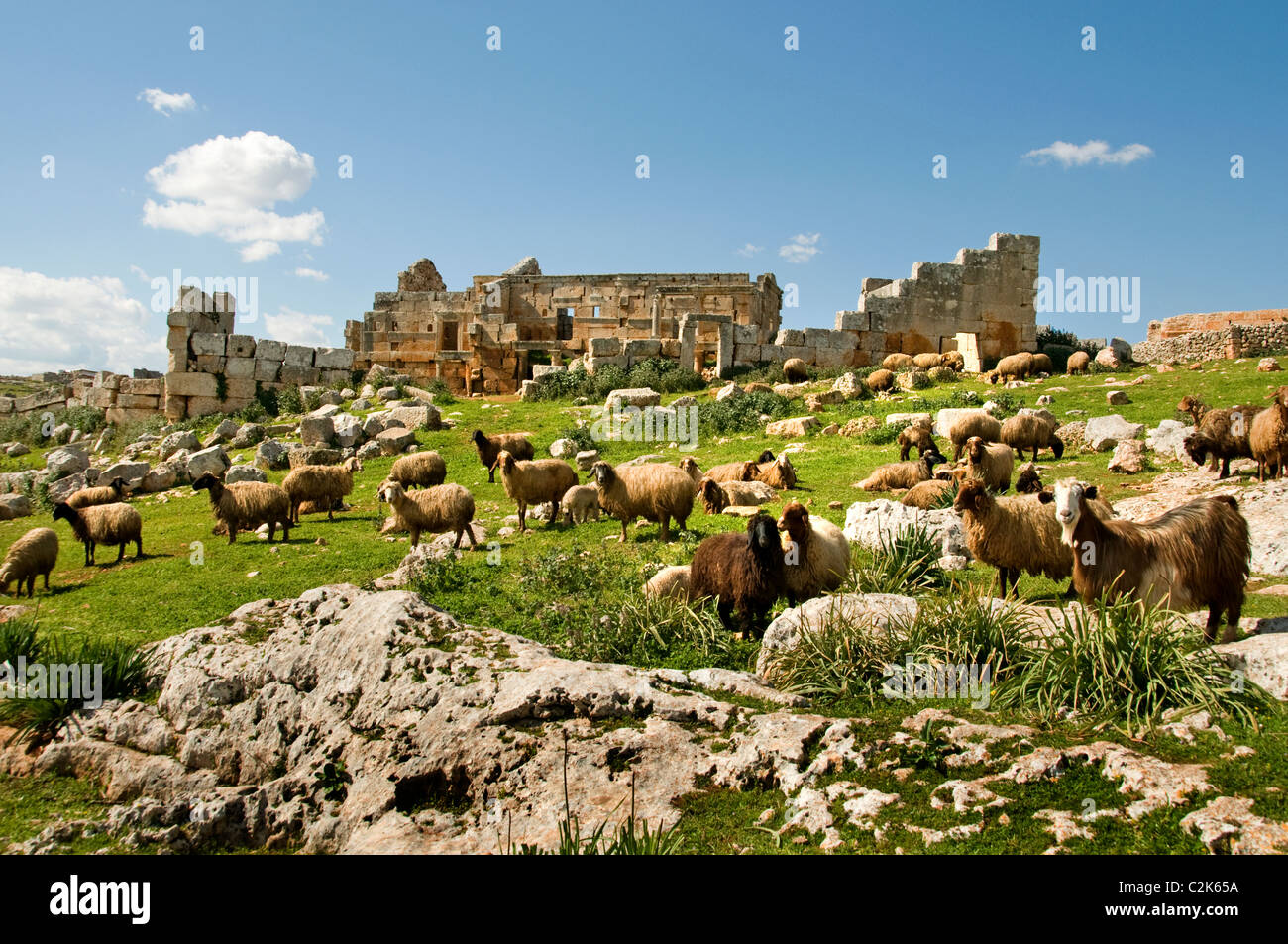 Serjilla, Syria, Dead City, contains about, 700 sites, Jebel Riha, near ...