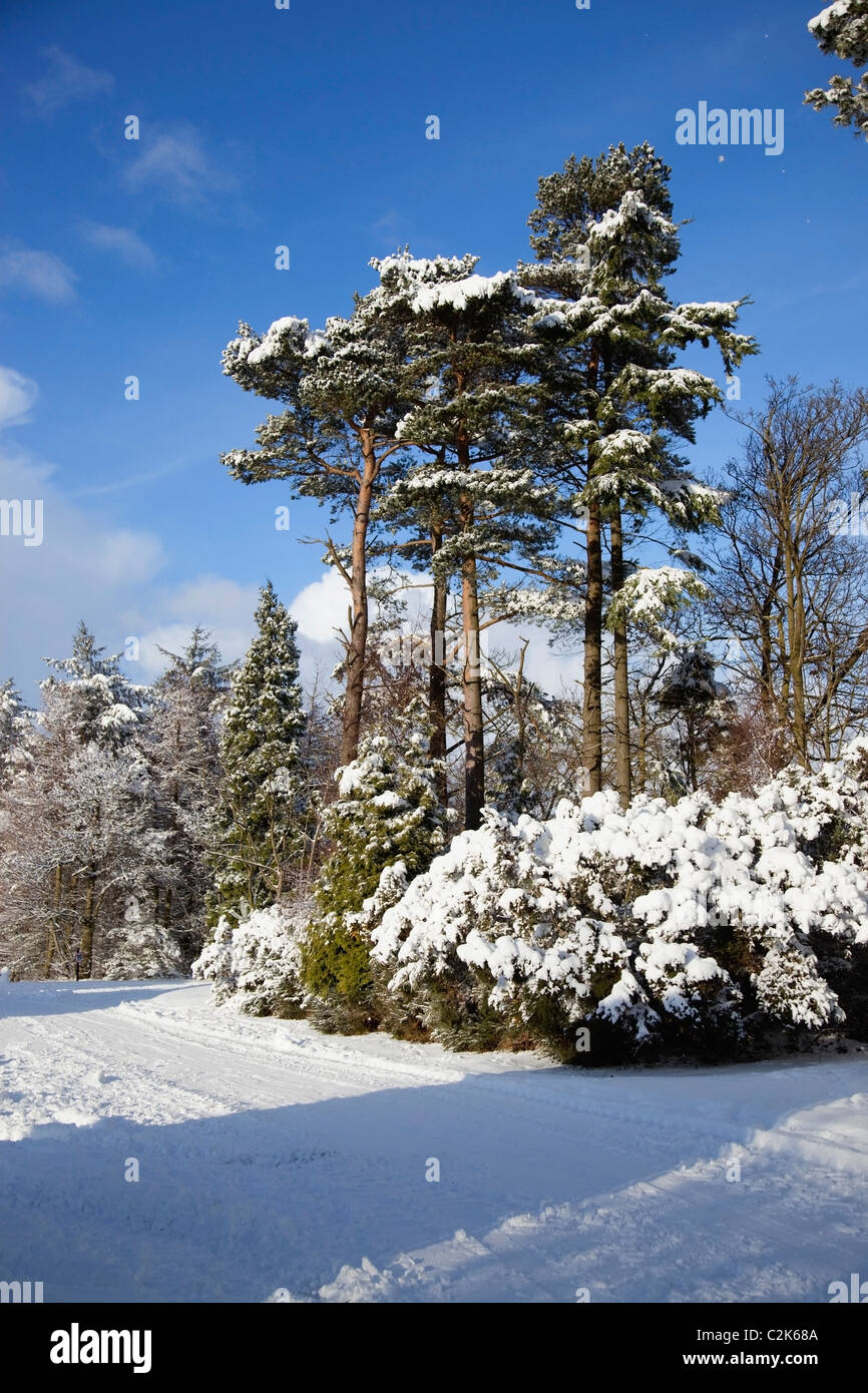 Northumberland, England; Winter Landscape Stock Photo - Alamy