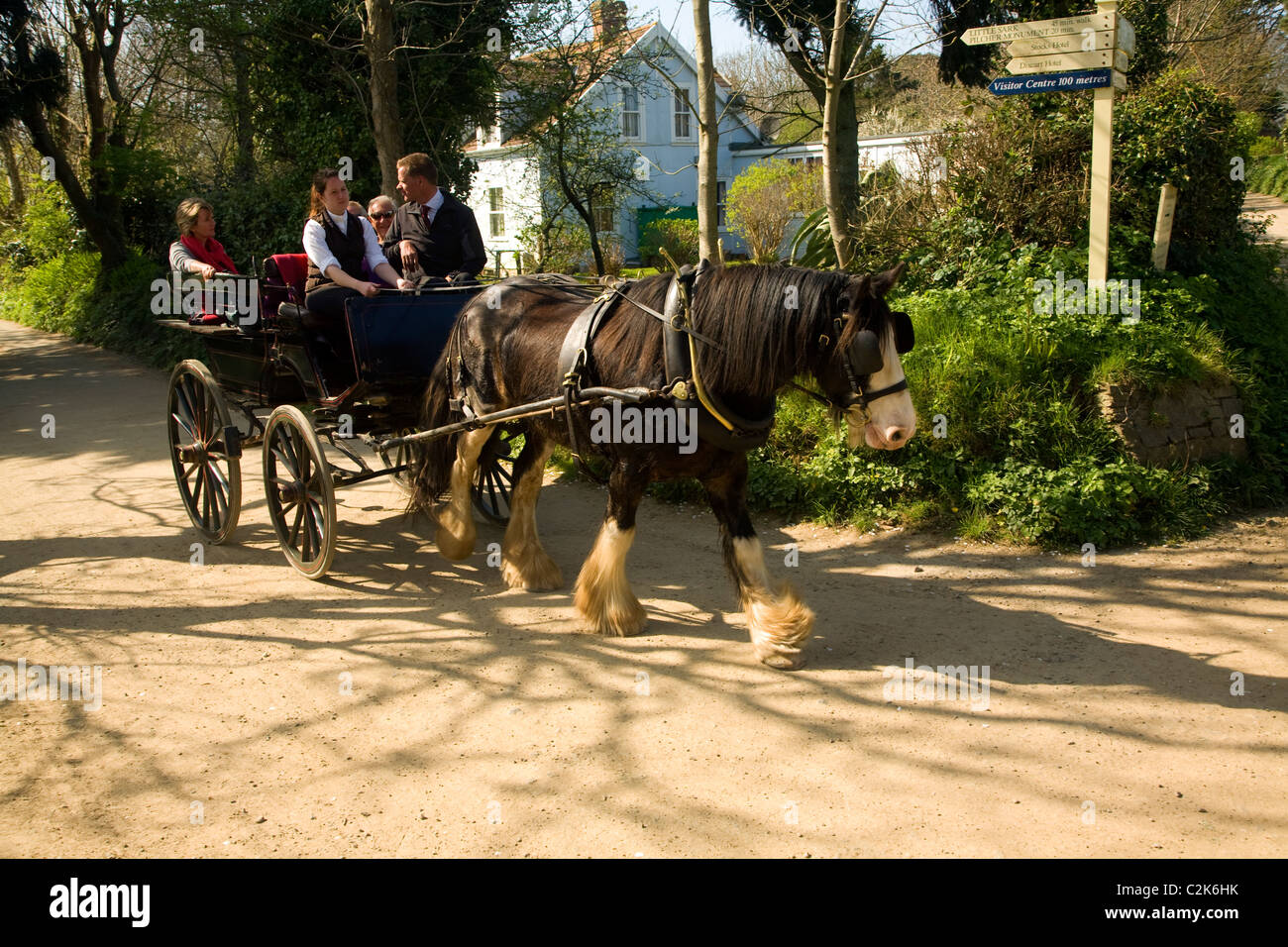 Horse carriage street houses island Sark Channel Islands Stock Photo ...