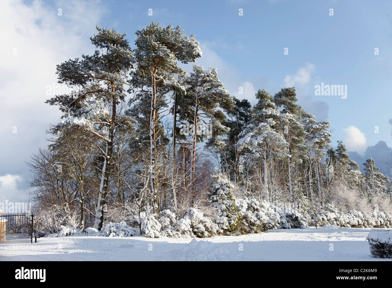 Northumberland, England; Winter Landscape Stock Photo - Alamy