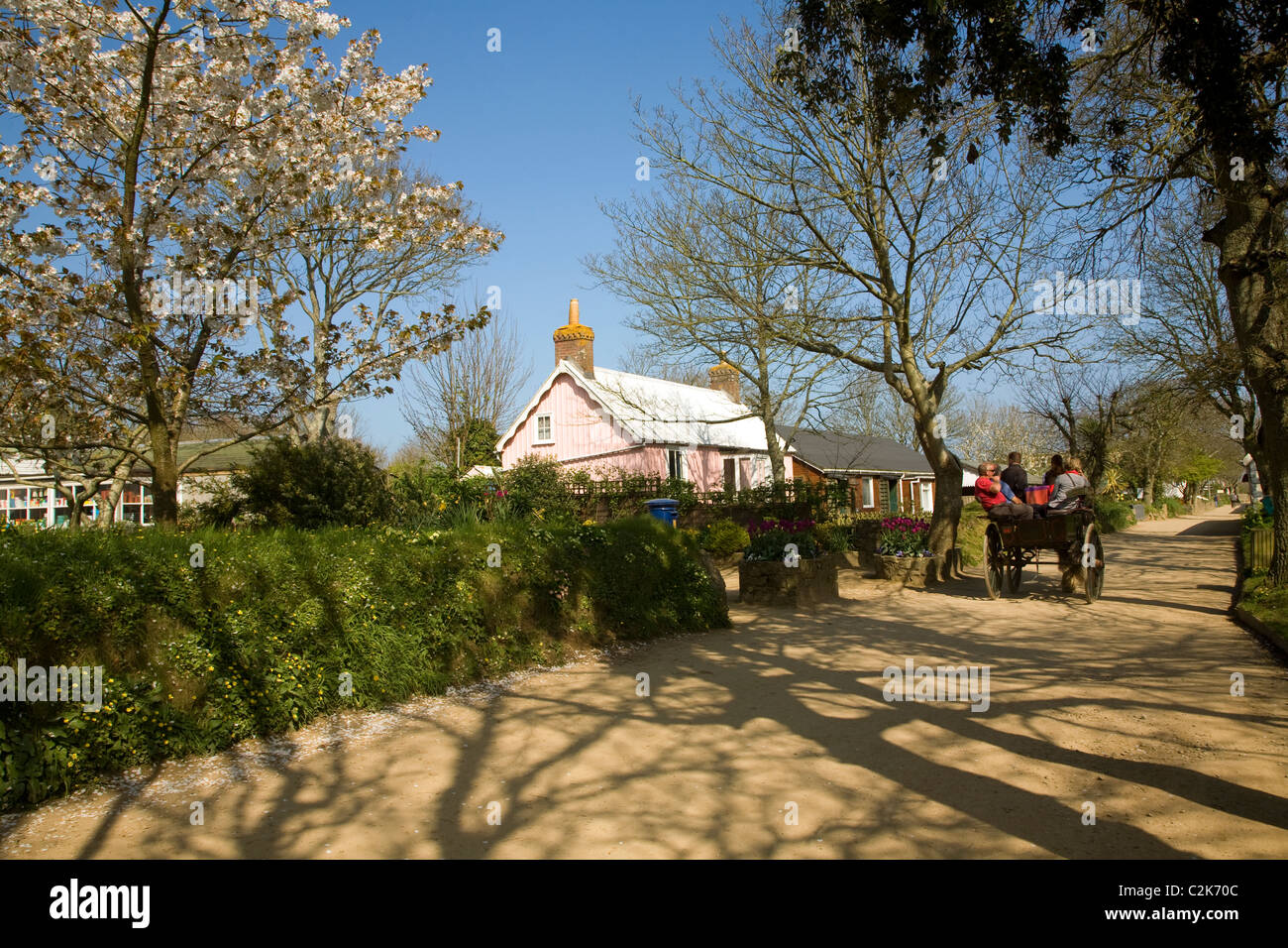Horse carriage street houses island Sark Channel Islands Stock Photo ...