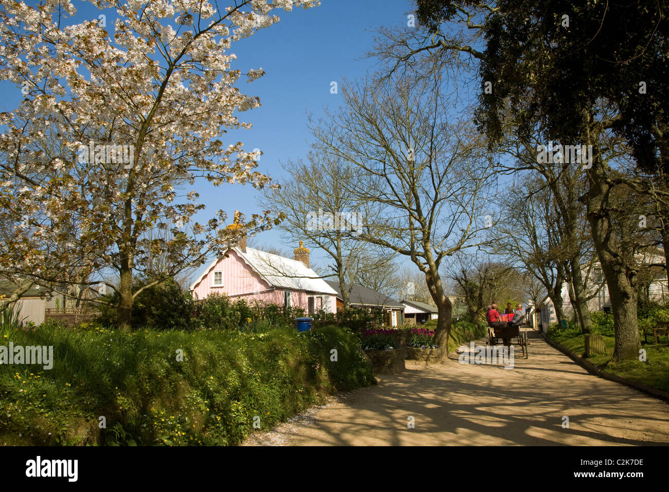Horse carriage street houses island Sark Channel Islands Stock Photo ...
