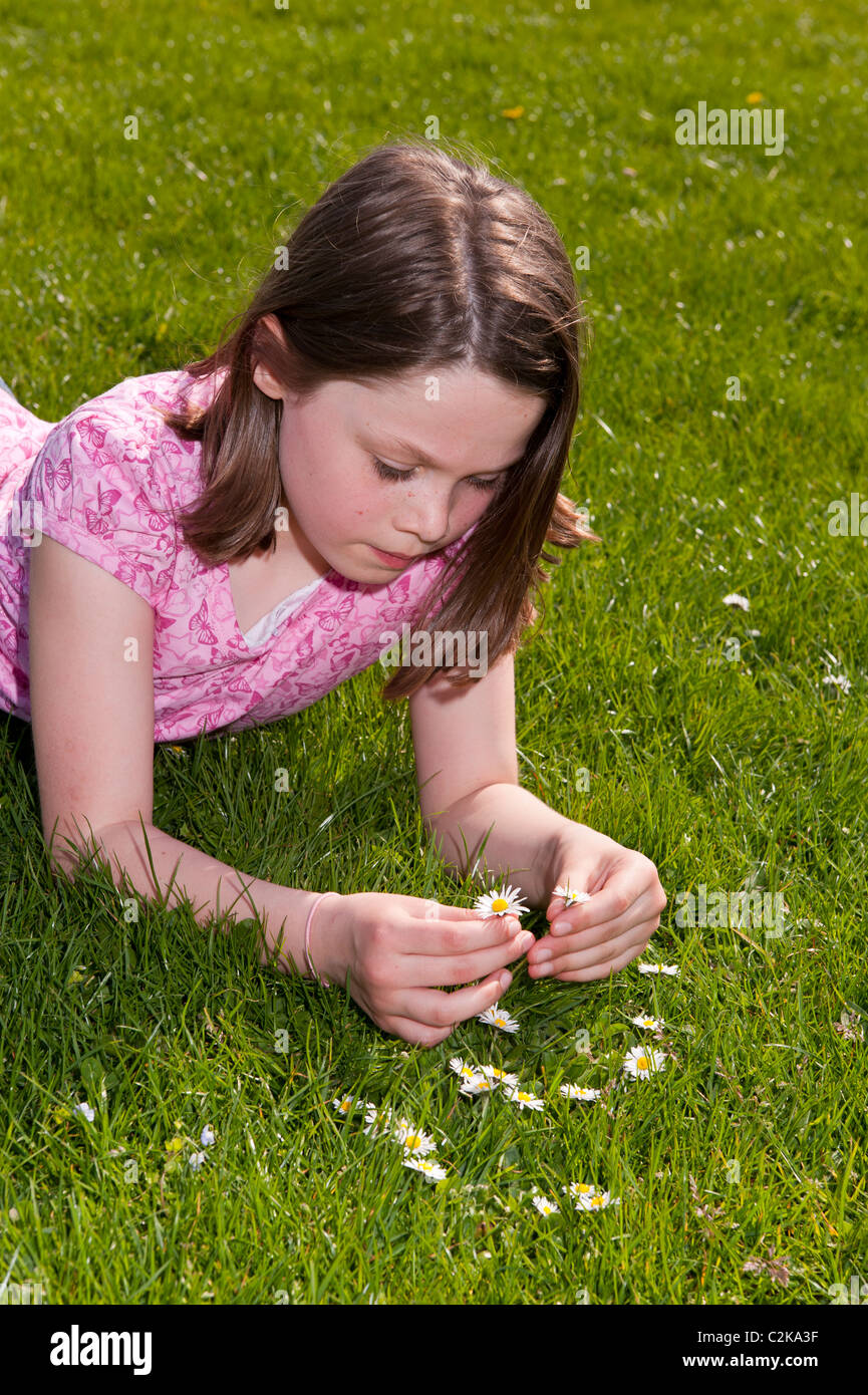 A MODEL RELEASED picture of a nine year old girl picking daisies ...