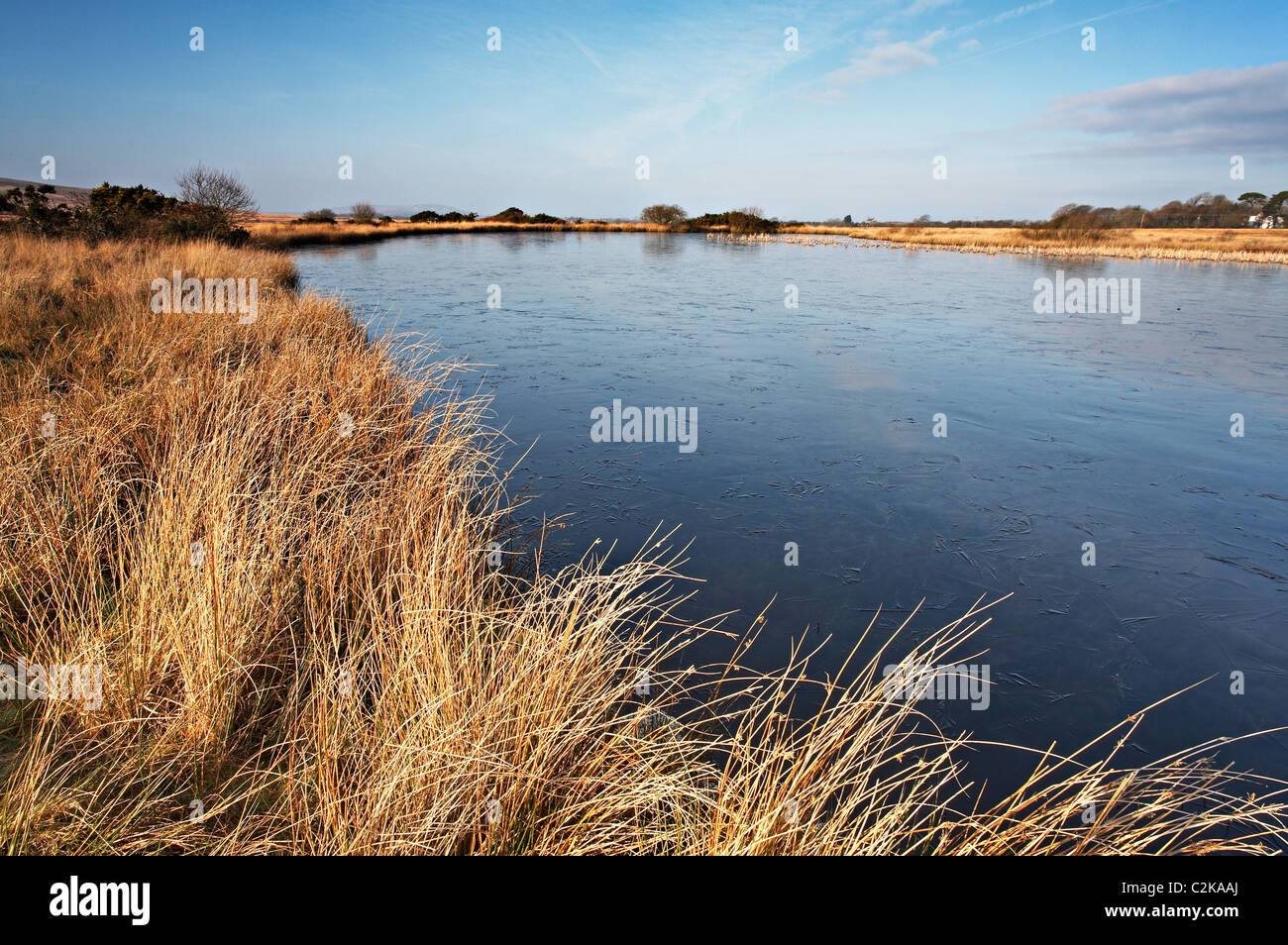Broad Pool, Cefn Bryn, Gower, Wales Stock Photo - Alamy