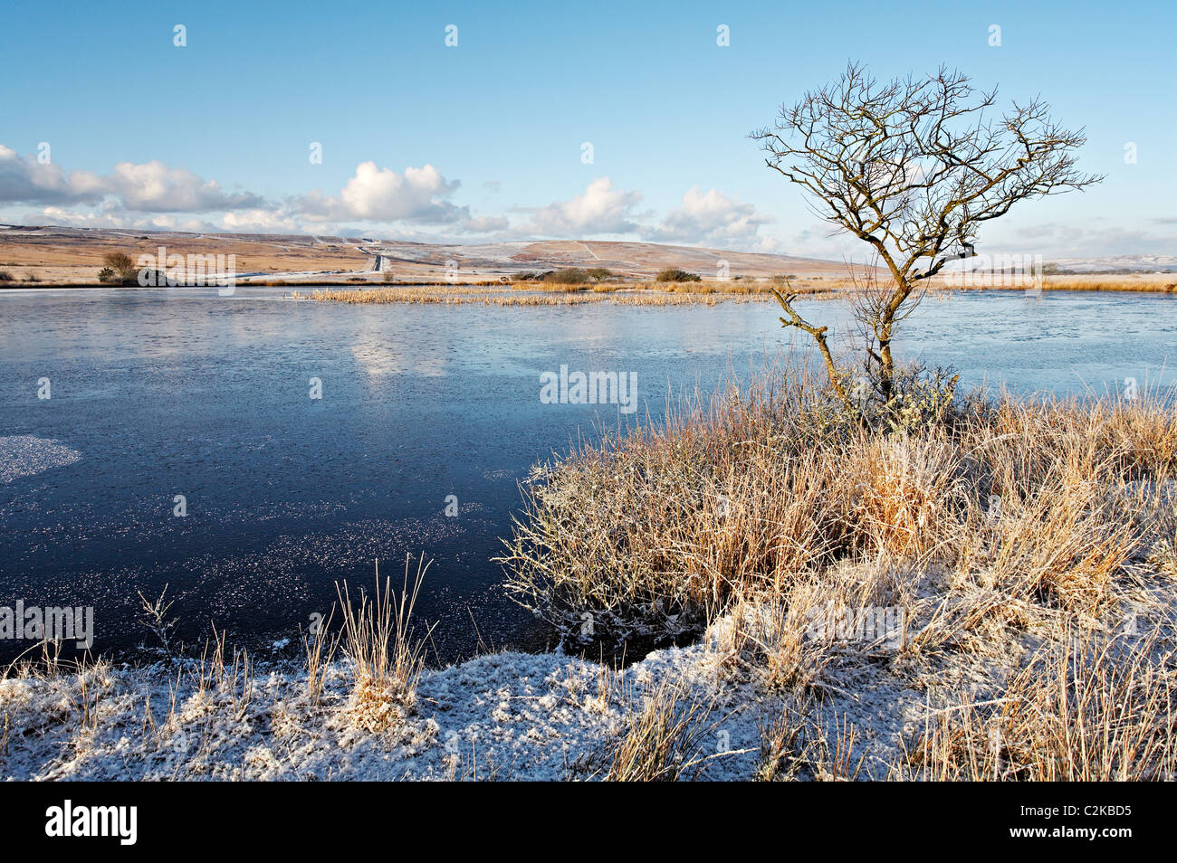 Broad Pool, Cefn Bryn, Gower, Wales Stock Photo - Alamy