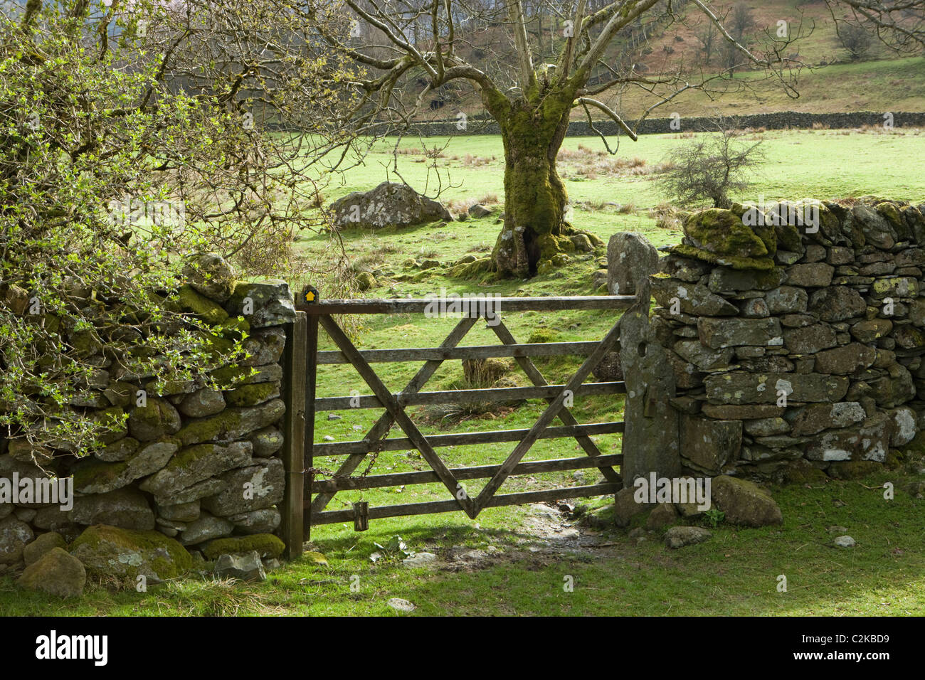 Cumbria countryside gate hi-res stock photography and images - Alamy