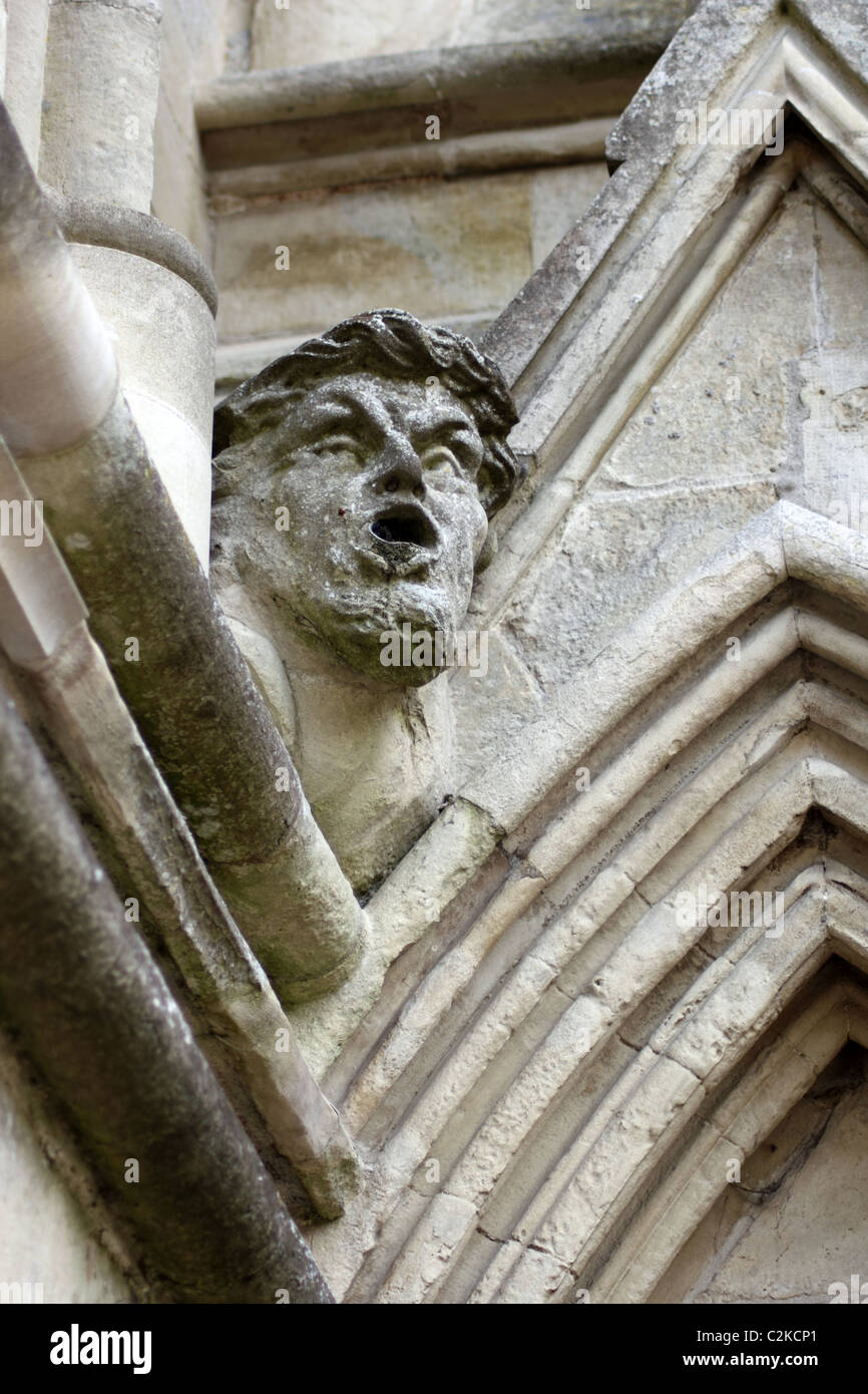 Gargoyle, Salisbury Cathedral, Wiltshire, England, UK Stock Photo - Alamy