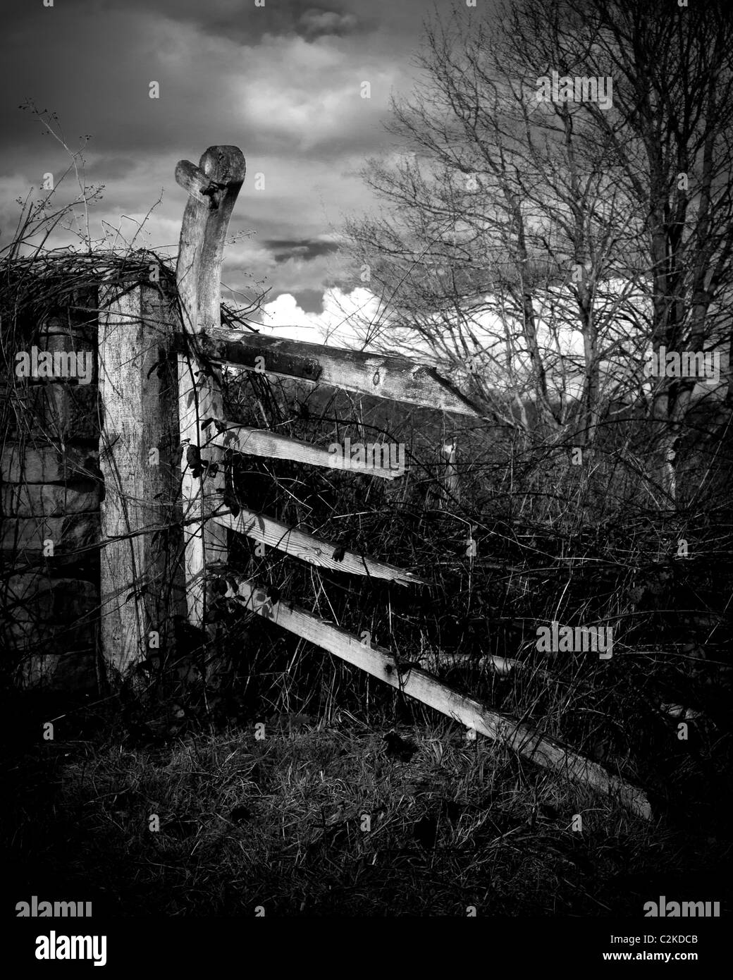 Monochrome image of a broken gate Stock Photo - Alamy