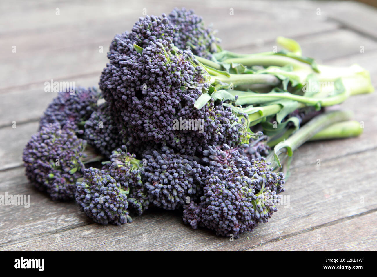 Purple Sprouting Broccoli Stock Photos & Purple Sprouting Broccoli ...