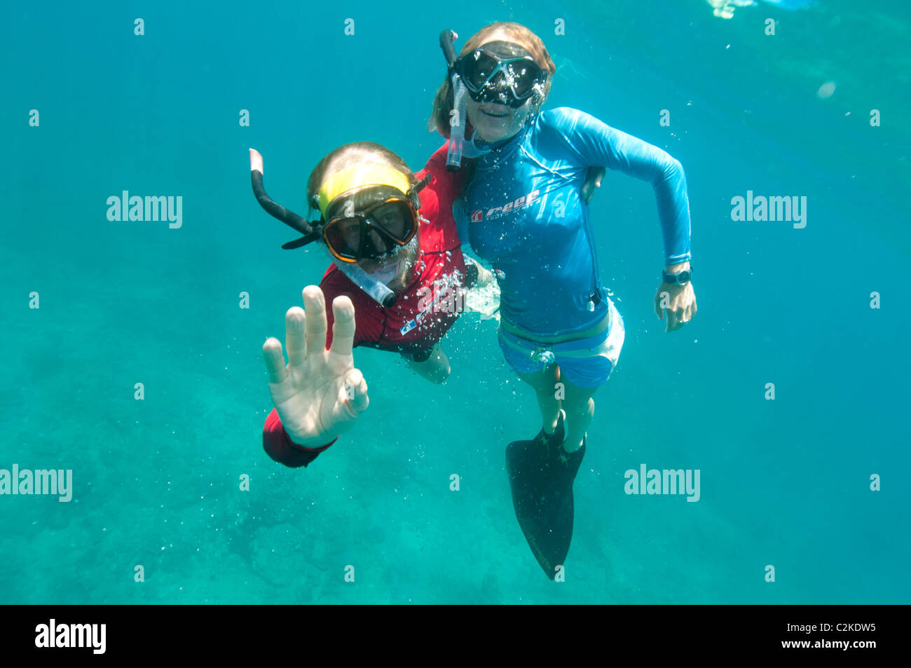 couple in love free diving in the Indian ocean Stock Photo - Alamy