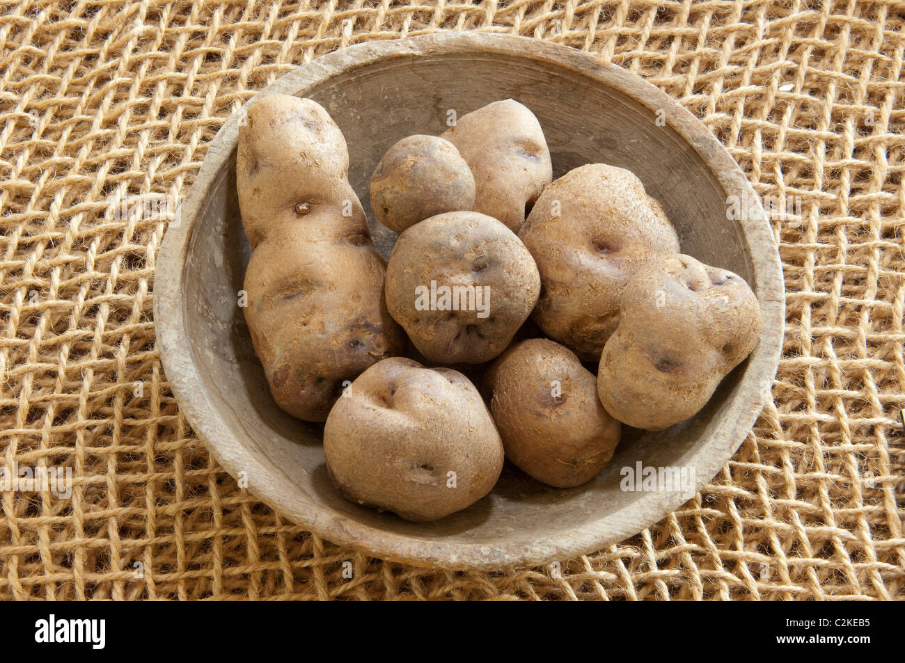 Solanum Tuberosum