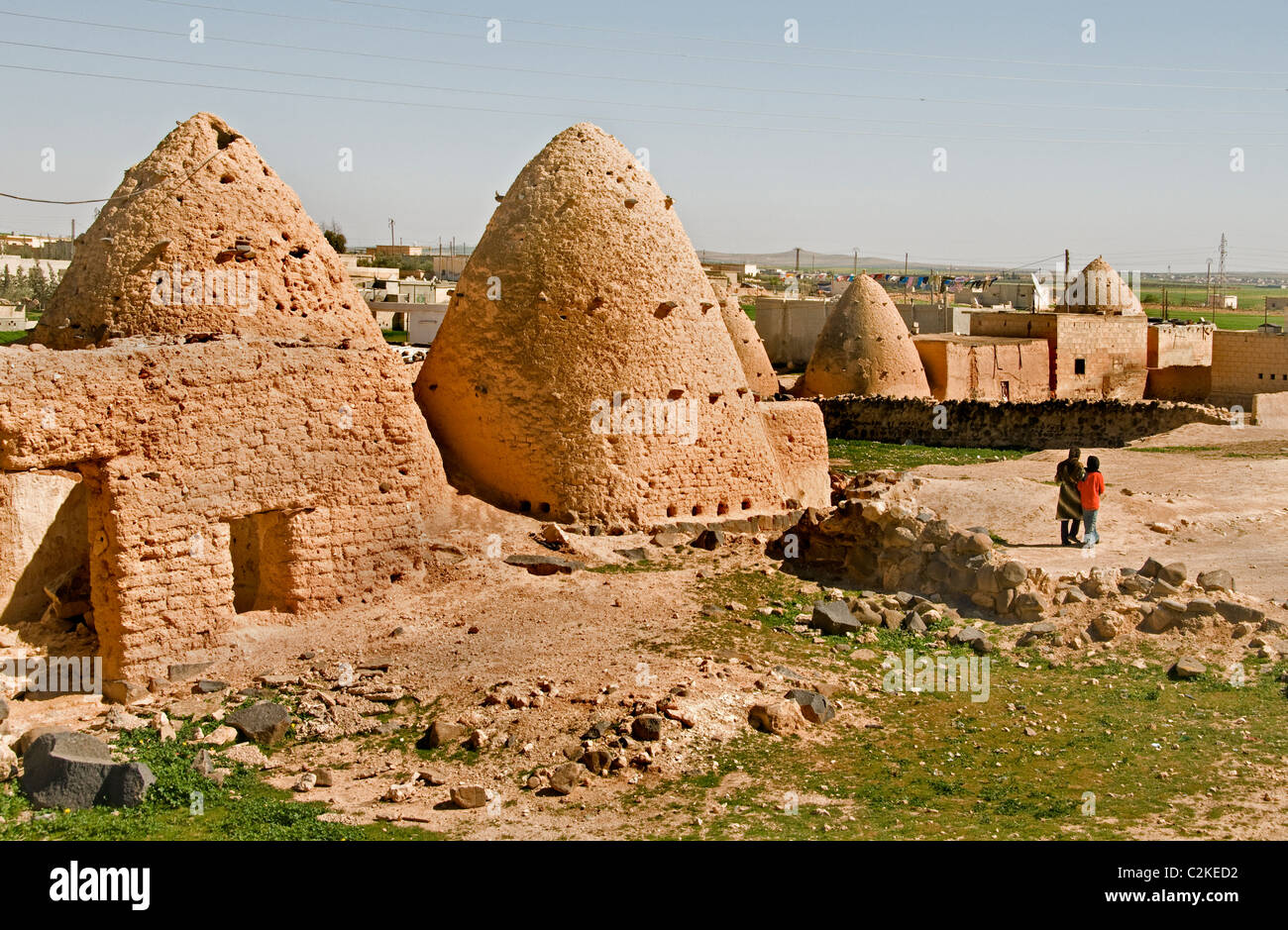 Syria desert Badiyat al Sham, farm sheep,culture, Bedouin Bedouins ...