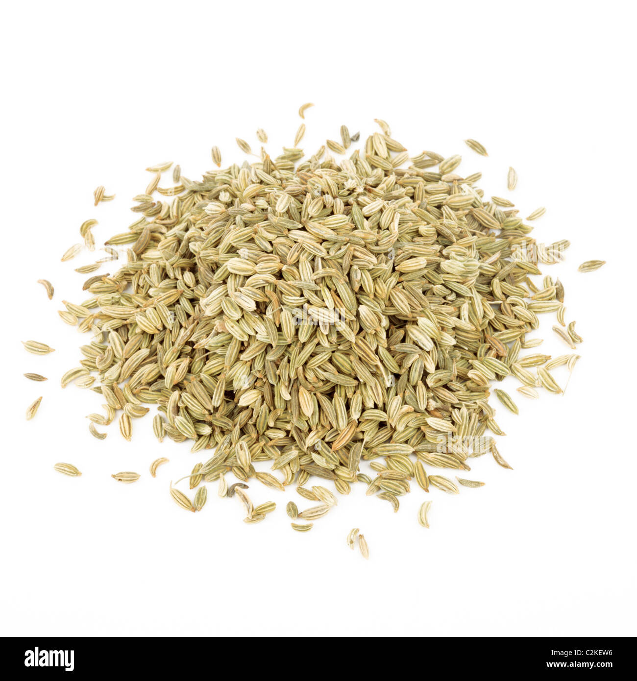 Cut Out Seed