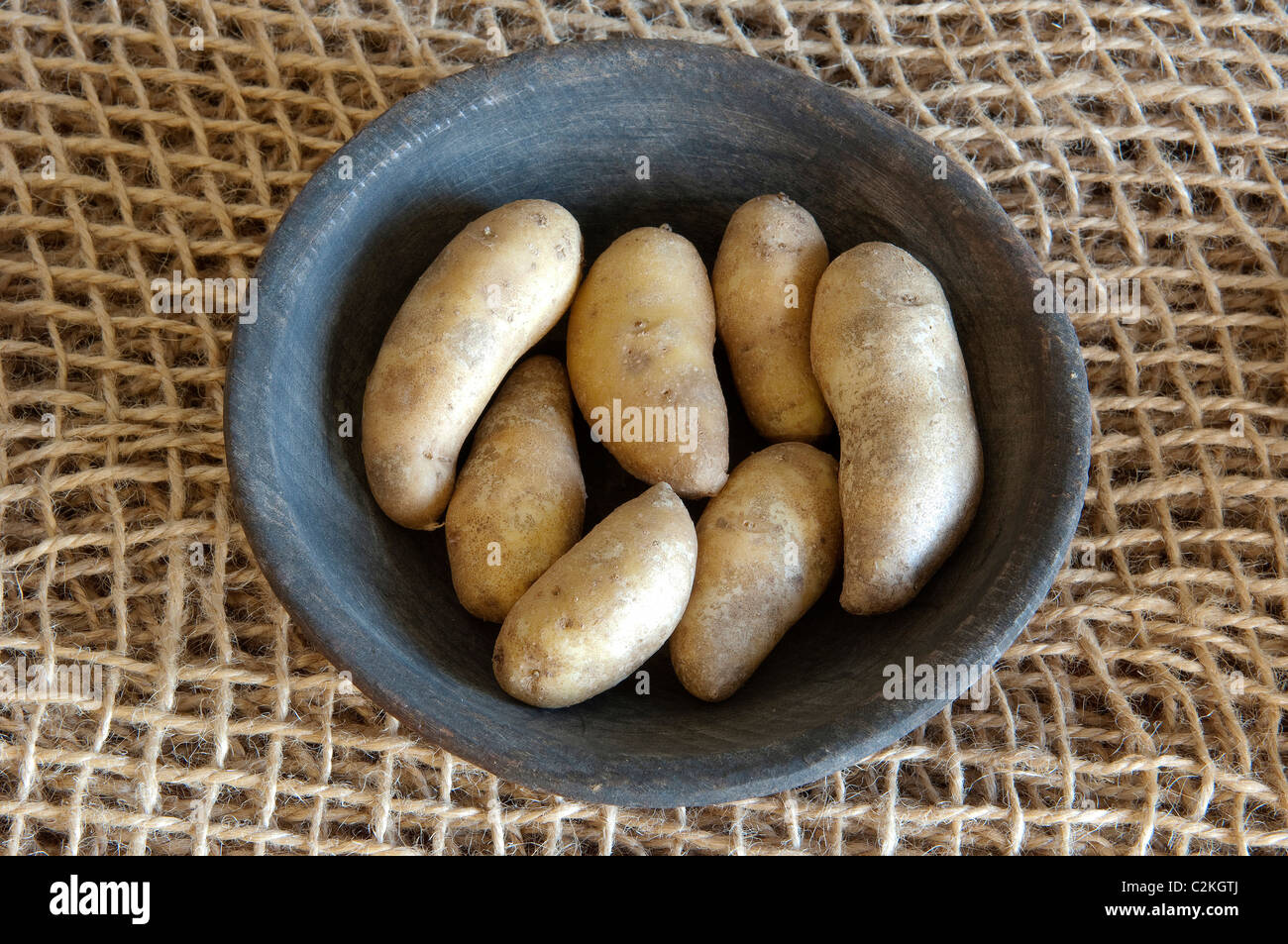Ratte potato hi-res stock photography and images - Alamy