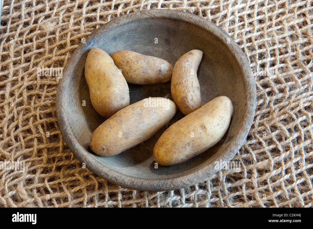 Andean Potato, Mayan Gold Potato (Solanum phureja Mayan Gold). Potatoes ...
