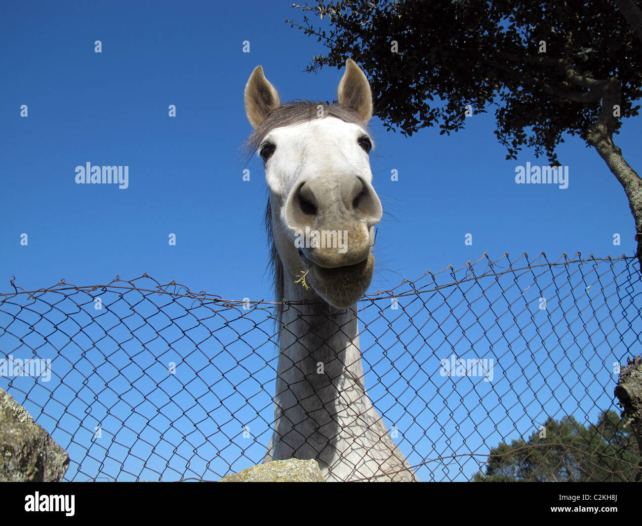 Expression humorous hi-res stock photography and images - Alamy
