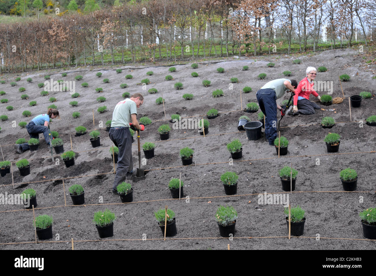 Horizontal eden project cornwall hi-res stock photography and images ...