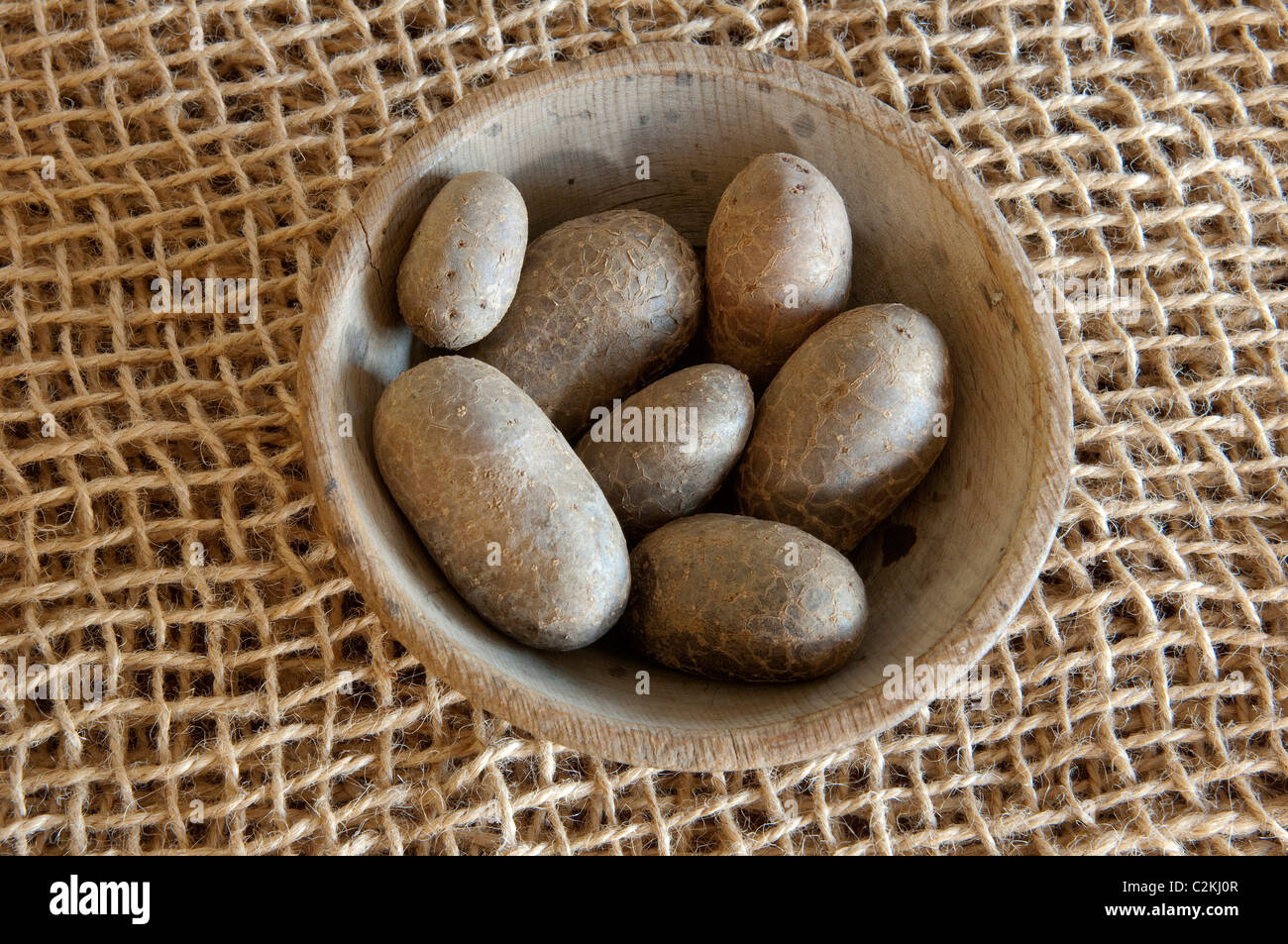 Shetland Black Potato (Solanum tuberosum Shetland Black). Potatoes a ...