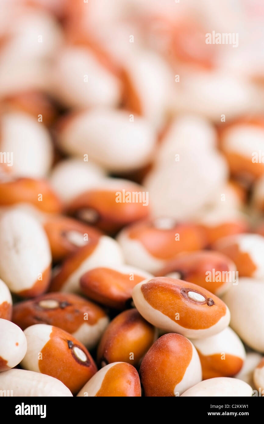 Yellow Eye Beans Stock Photo - Alamy