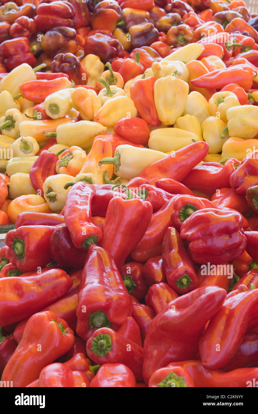 Assorted Colors Of Peppers Stock Photo - Alamy