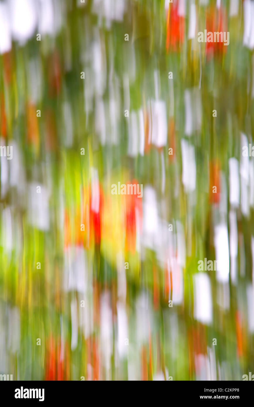 Abstracts of nature Stock Photo - Alamy