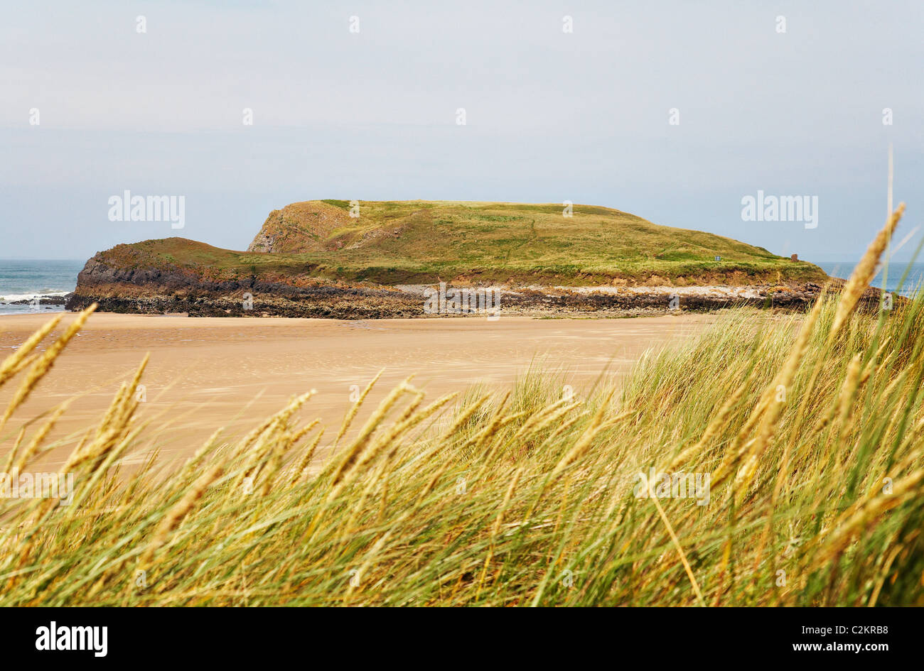 Llangennith beach wales hi-res stock photography and images - Alamy