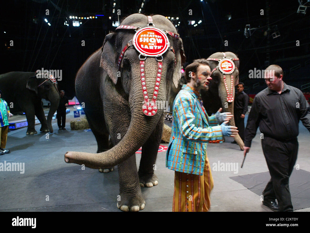 Ringling Bros. and Barnum & Bailey Circus presents 'Bellobration!' at ...