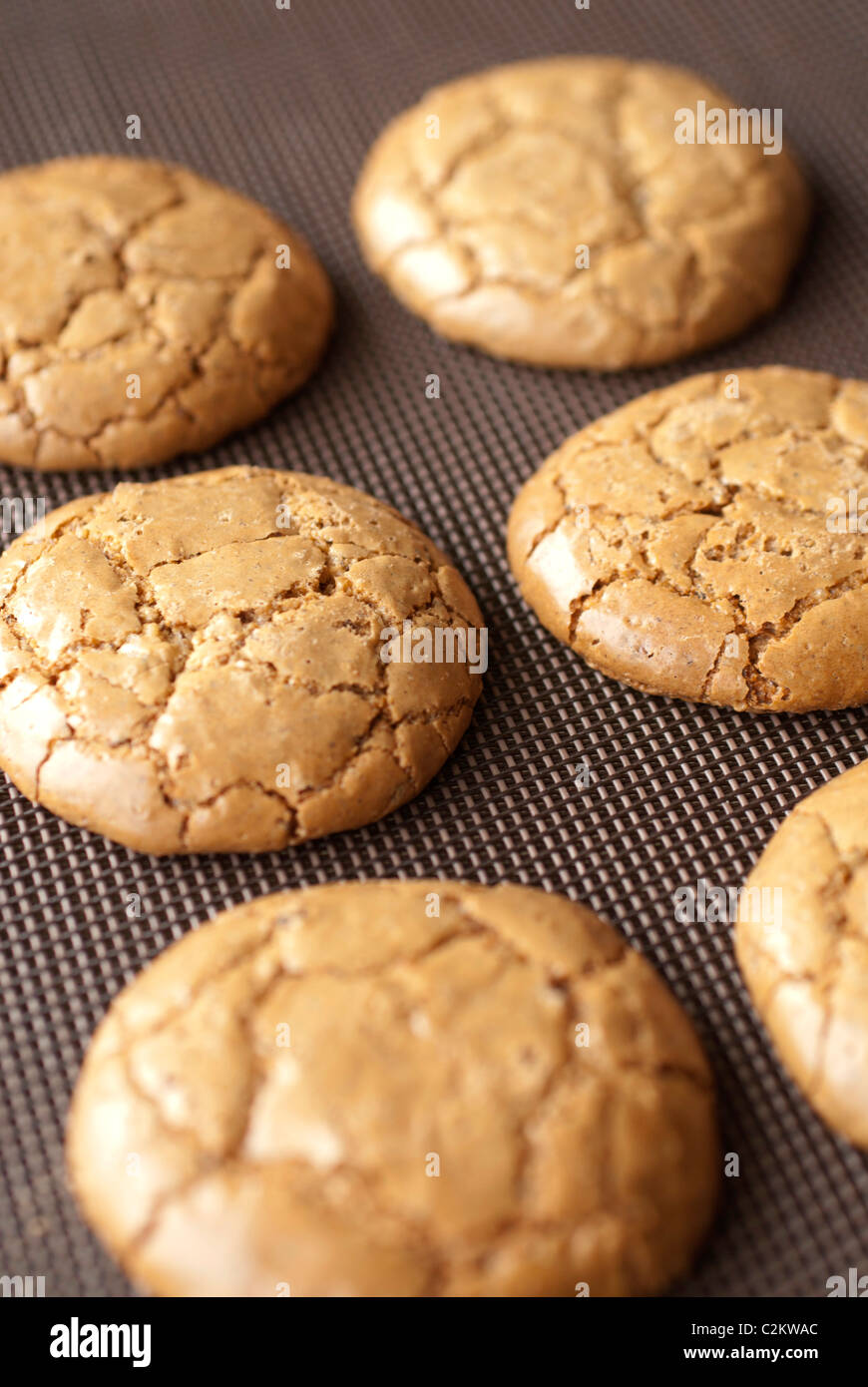 Backing image hi-res stock photography and images - Alamy